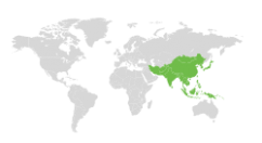 Careers | CGS (Computer Generated Solutions)